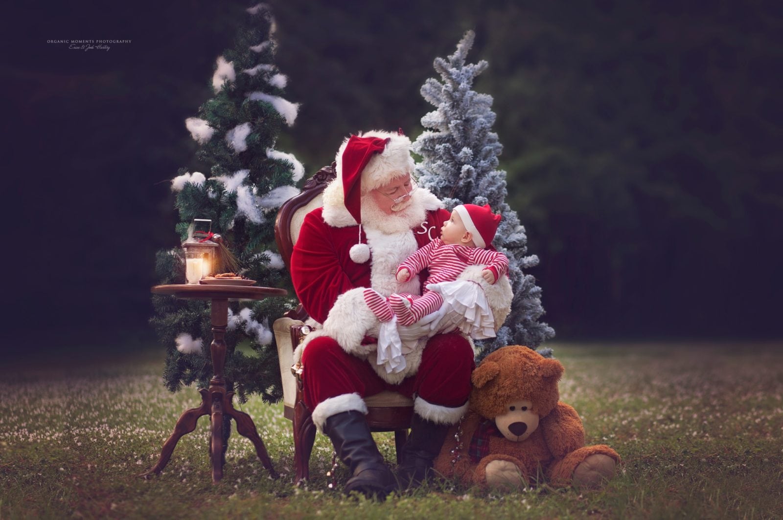 Holiday Photo Session Planning | Palm Beach County - Organic Moments ...